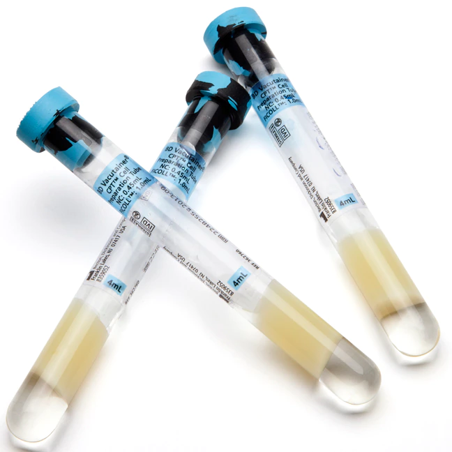BD CPT Sodium Citrate Tube 362760