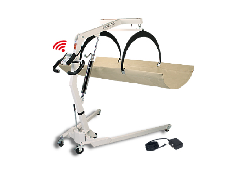 Detecto 800 lb Capacity In Bed Scale IB800-C-AC