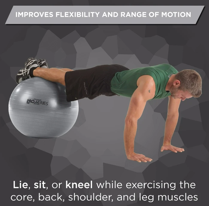 Theraband Pro Series SCP Exercise Ball, Bulk Packaged in a Poly Bag 23135