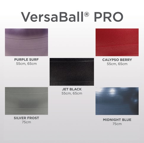 Power Systems Versa Ball PRO Stability Ball 80112