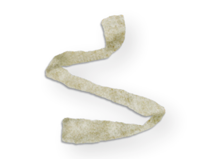 Integra LifeSciences Algicell Ag Calcium Alginate Dressing with ...
