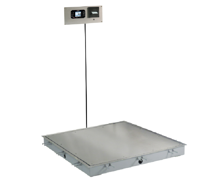 Detecto Solace In Floor Dialysis Scales ID-3636S-855RMP